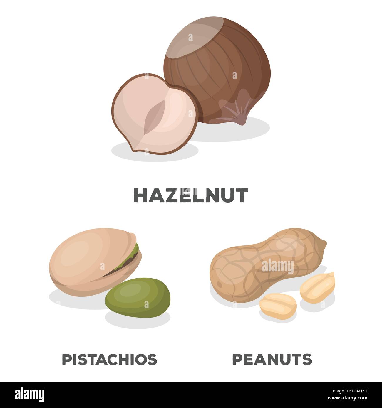 Different kinds of nuts cartoon icons in set collection for design.Nut ...