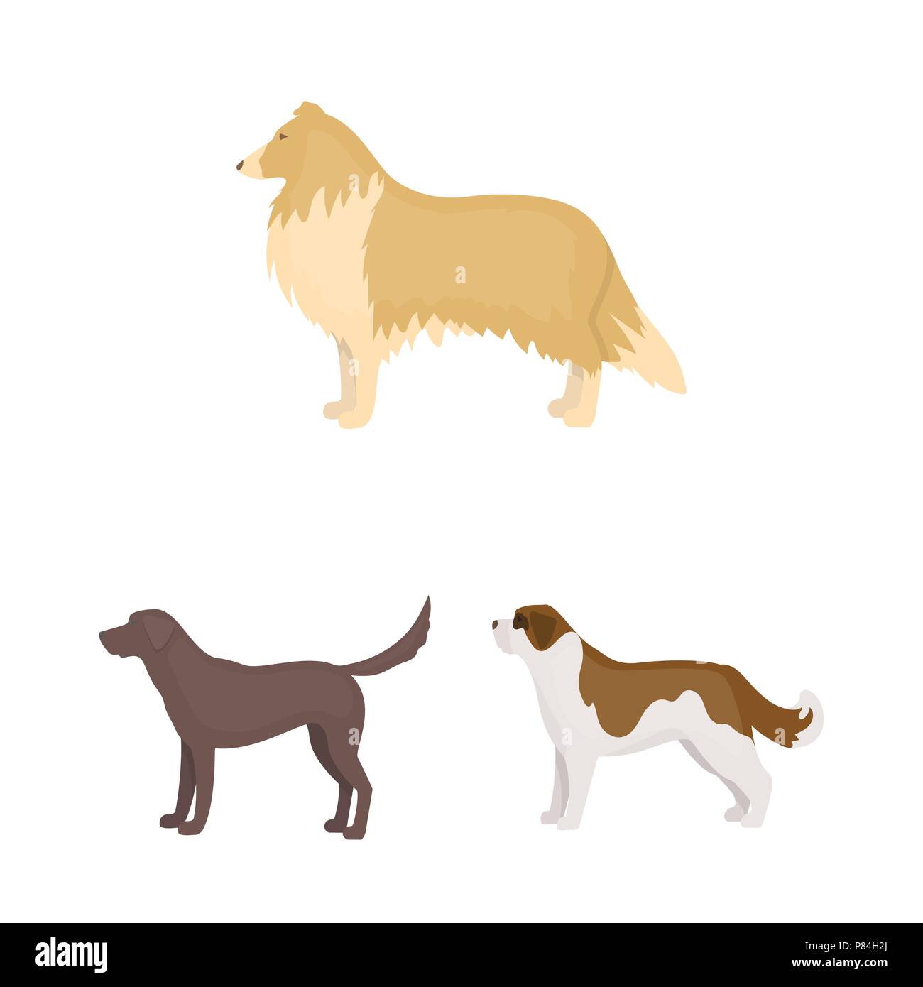 Dog breeds cartoon icons in set collection for design.Dog pet vector ...