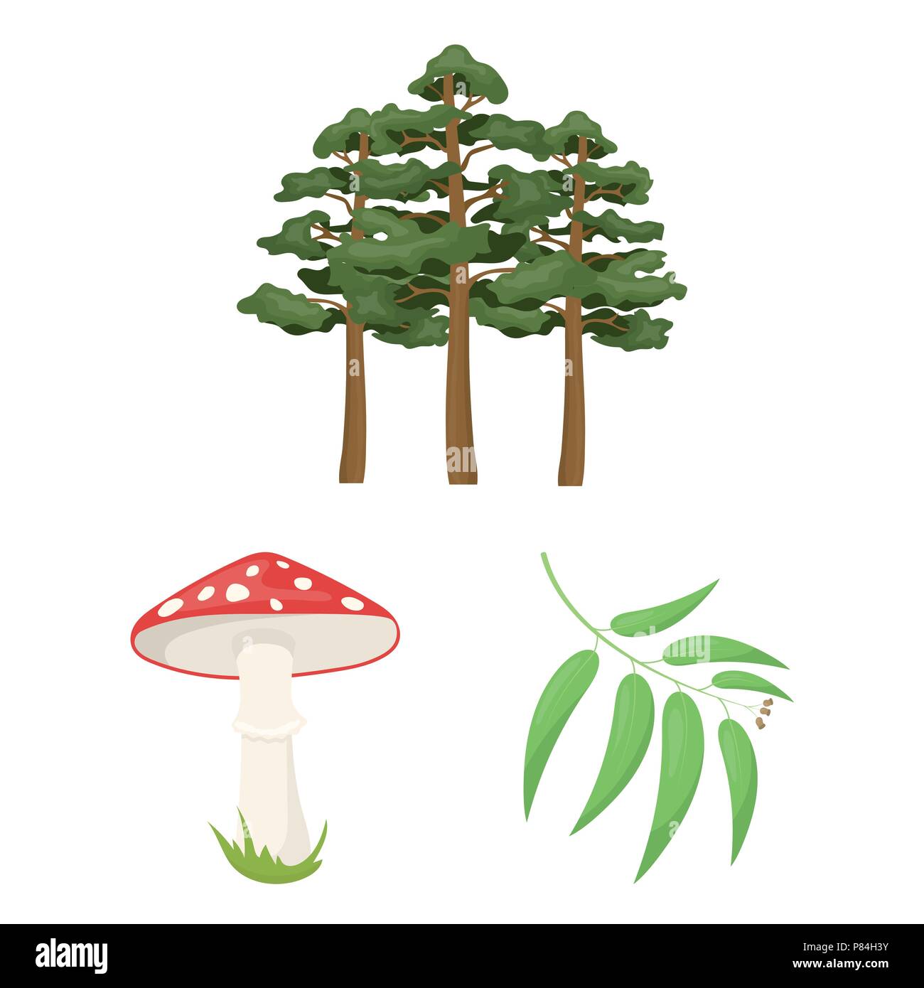 Forest and nature cartoon icons in set collection for design. Forest ...