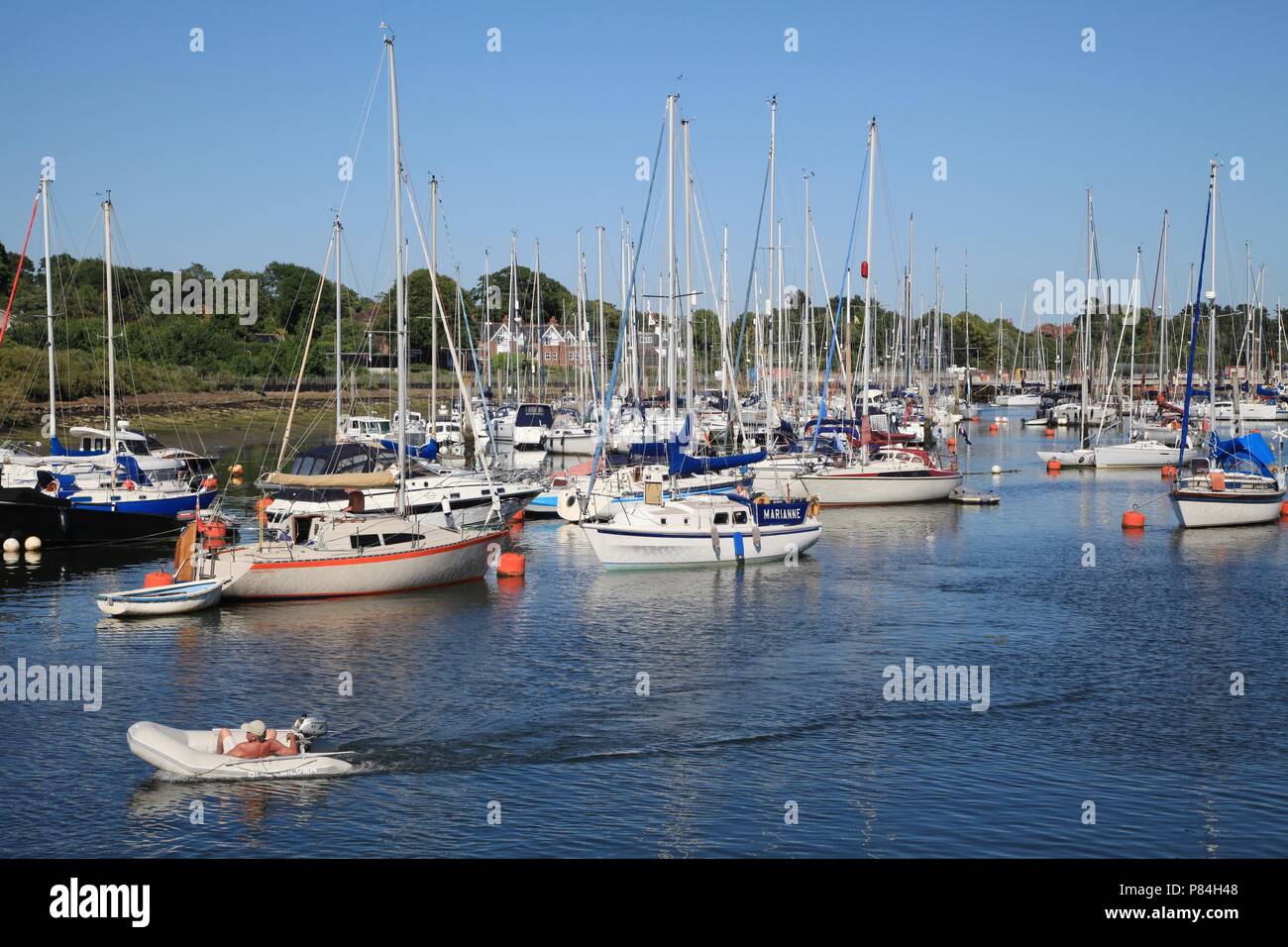 Puffin cruises new forest hi-res stock photography and images - Alamy