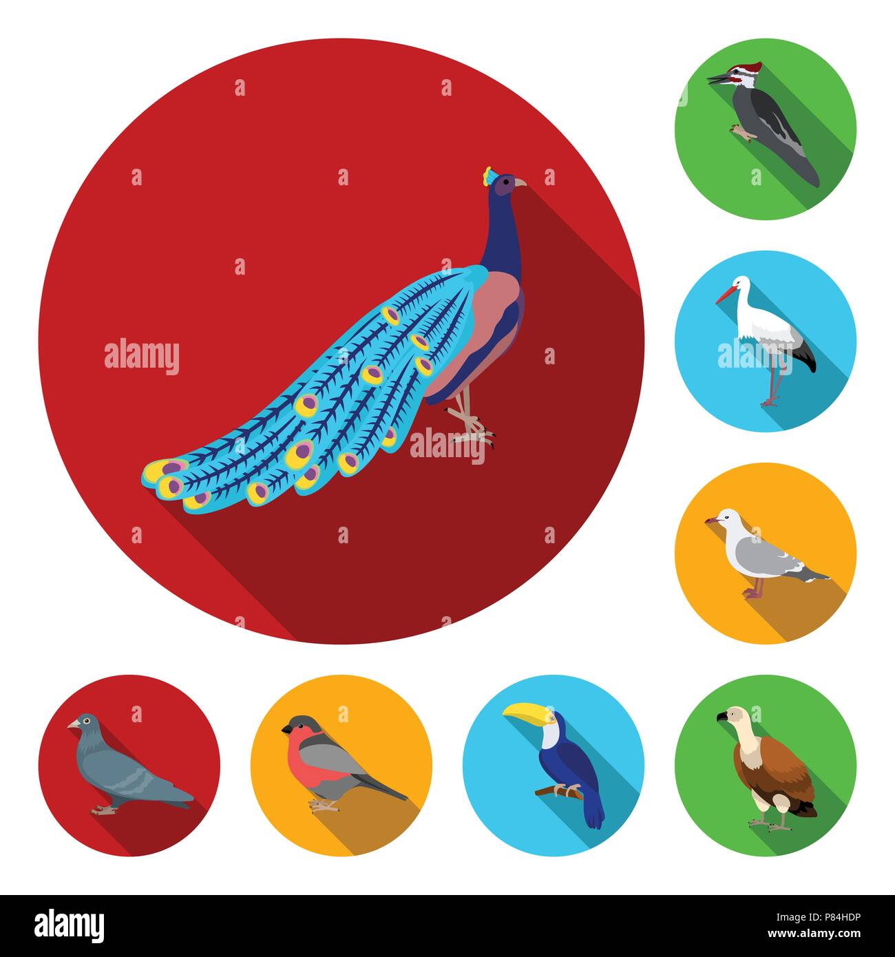 Types of birds flat icons in set collection for design. Home and wild ...