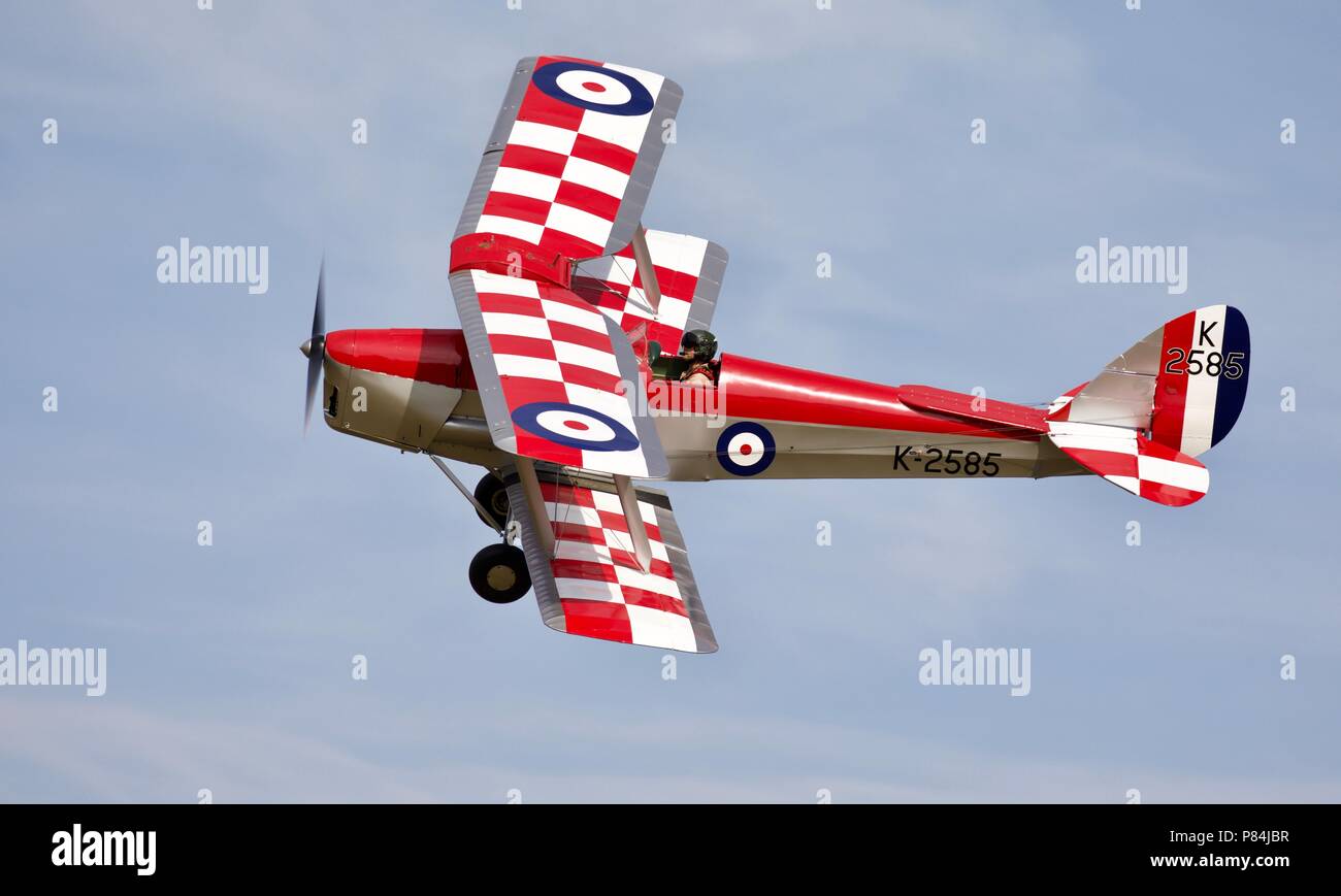 Tiger colour scheme hi-res stock photography and images - Alamy