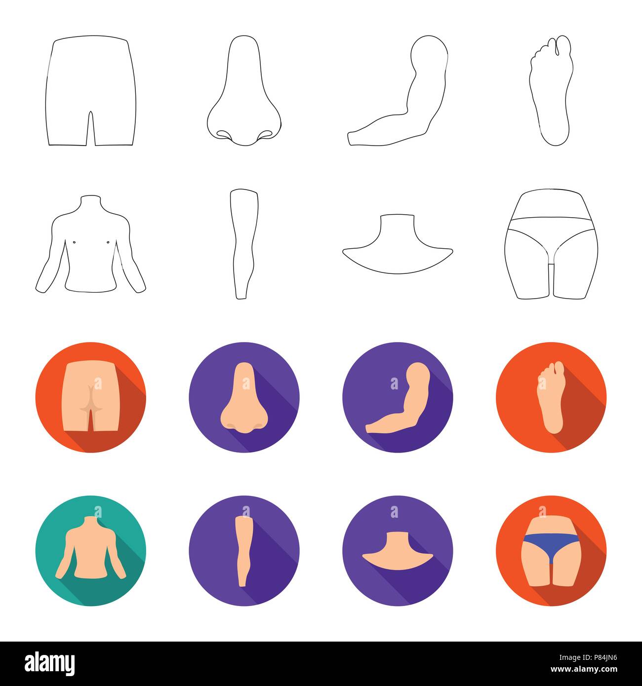 Torso, leg, neck and buttocks. Body parts set collection icons in ...