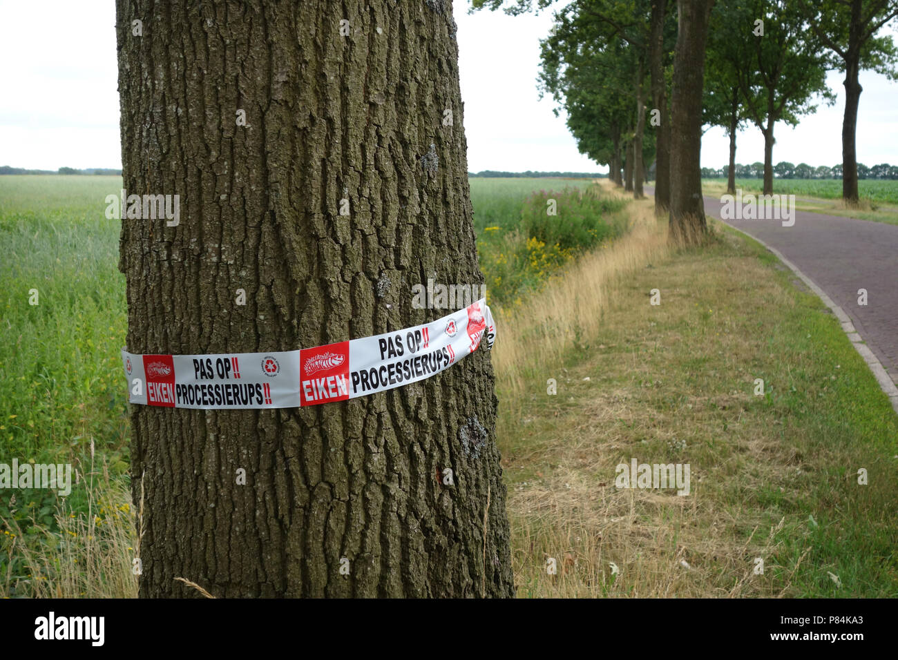 Pas op hi-res stock photography and images - Alamy