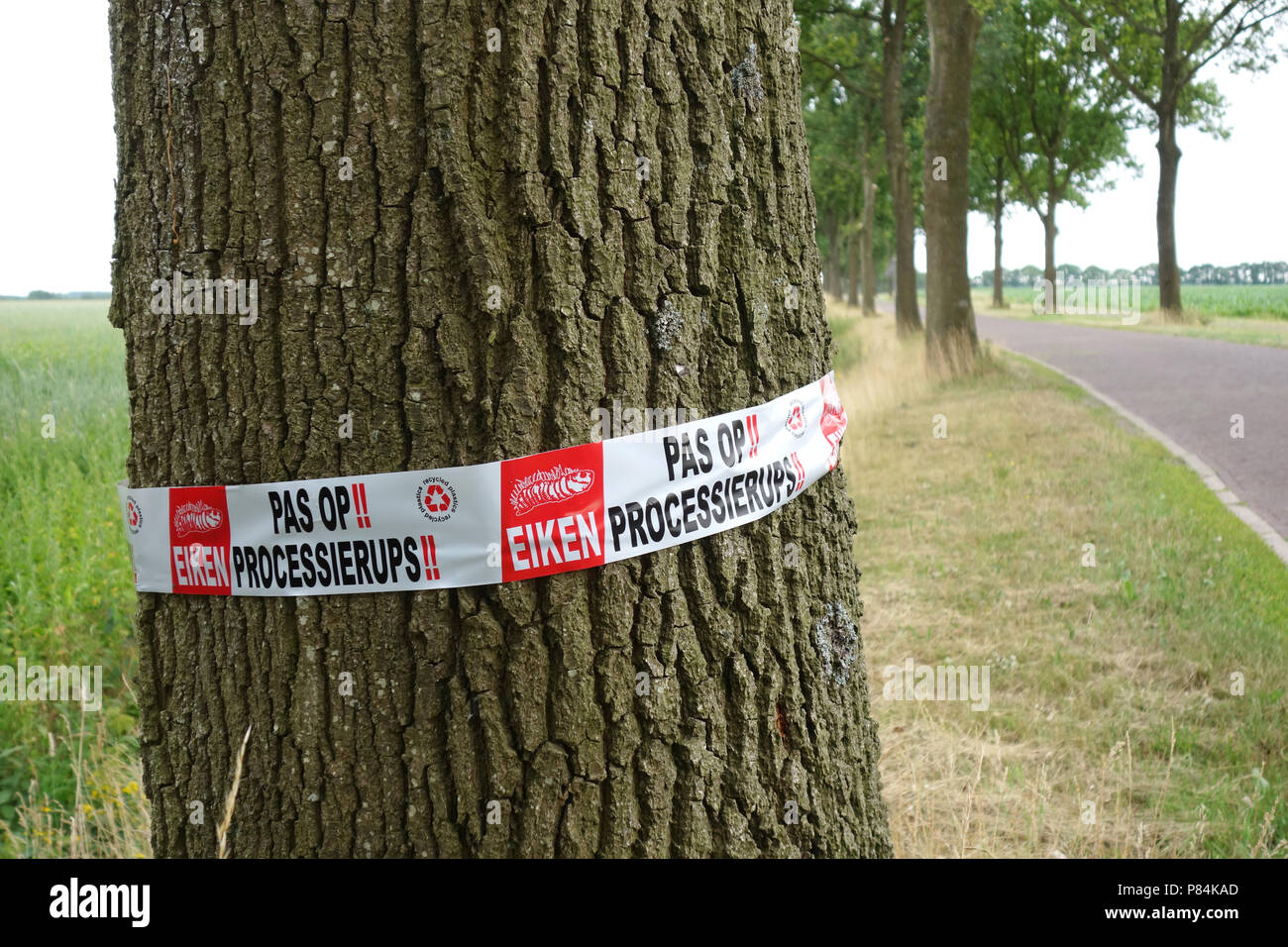 Plague warning hi-res stock photography and images - Alamy