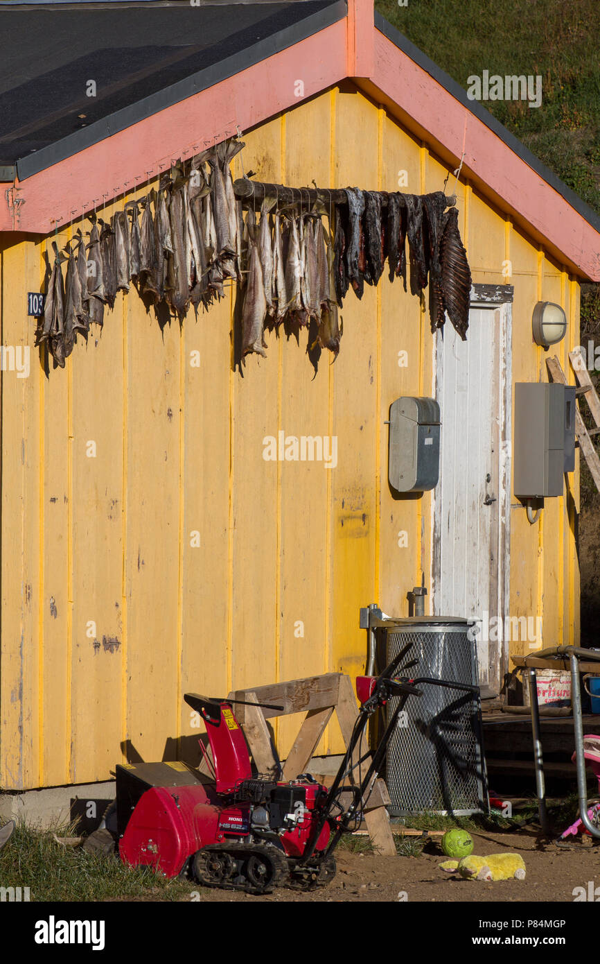 Plough fish hi-res stock photography and images - Alamy