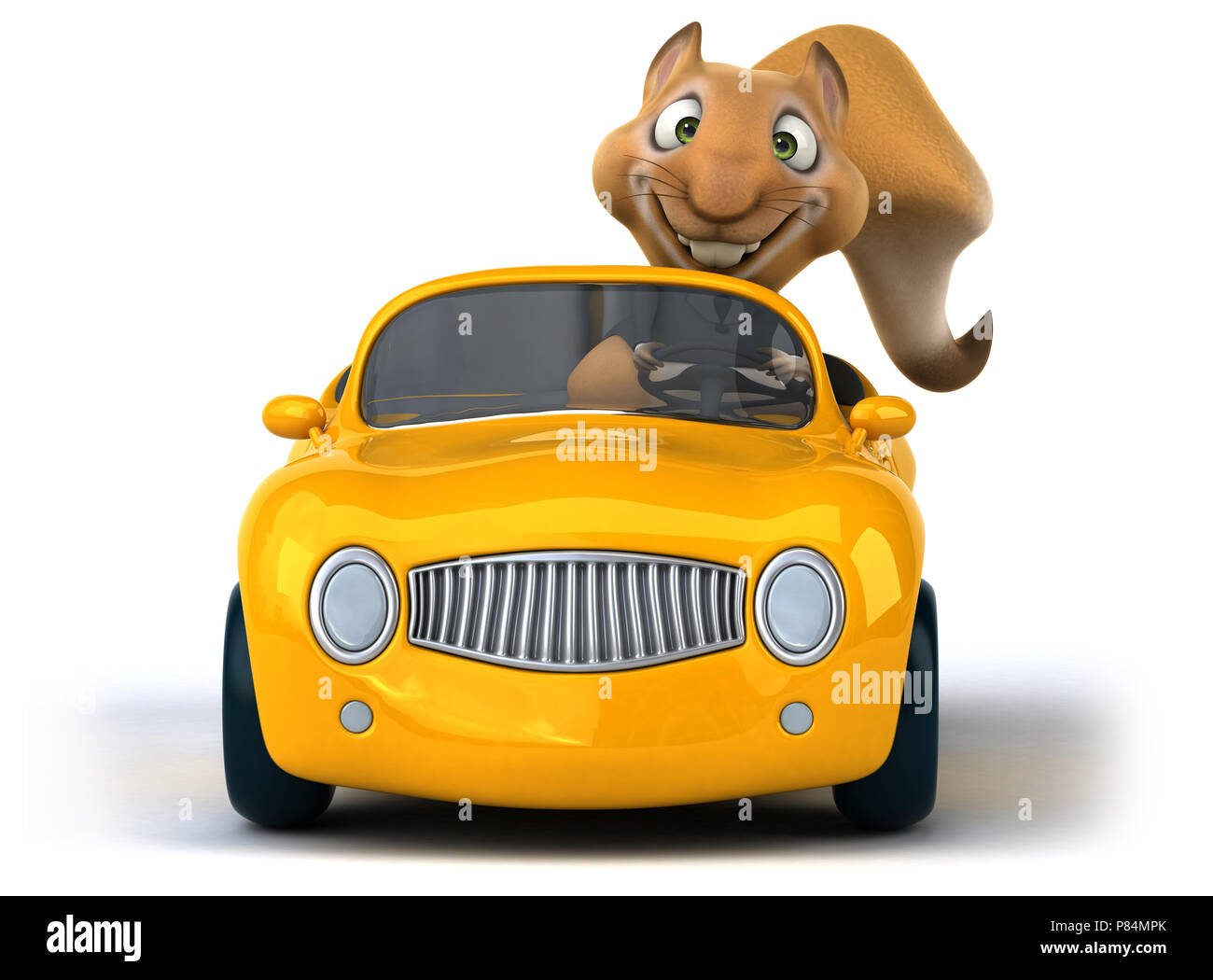 Squirrel driving hi-res stock photography and images - Alamy