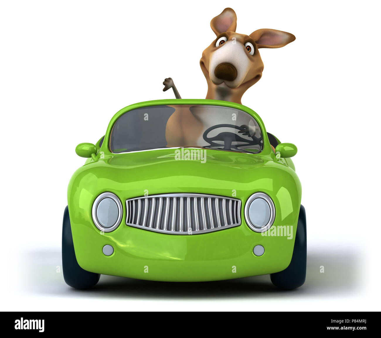 Australia zoo vehicle hi-res stock photography and images - Alamy