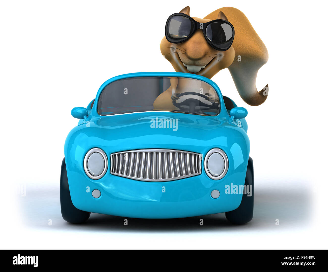 Squirrel driving hi-res stock photography and images - Alamy