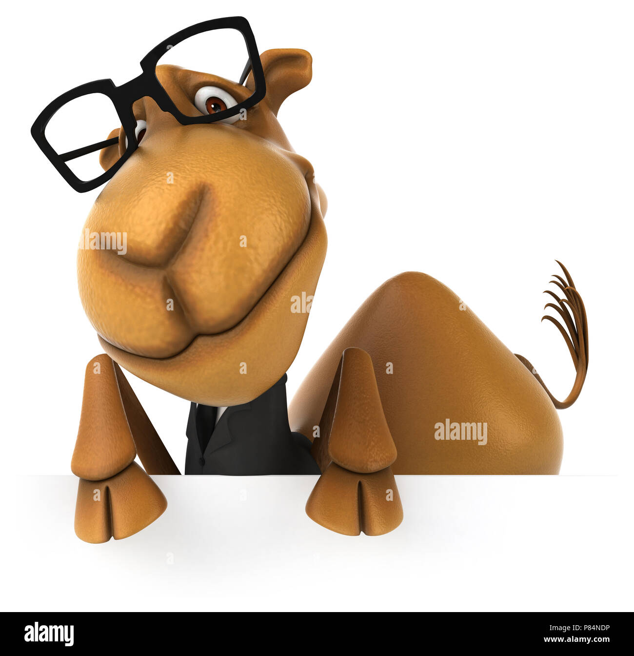 Camel active Cut Out Stock Images & Pictures - Alamy