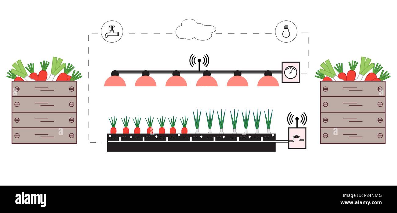 Smart farm and agriculture. Monitoring and control of temperature ...