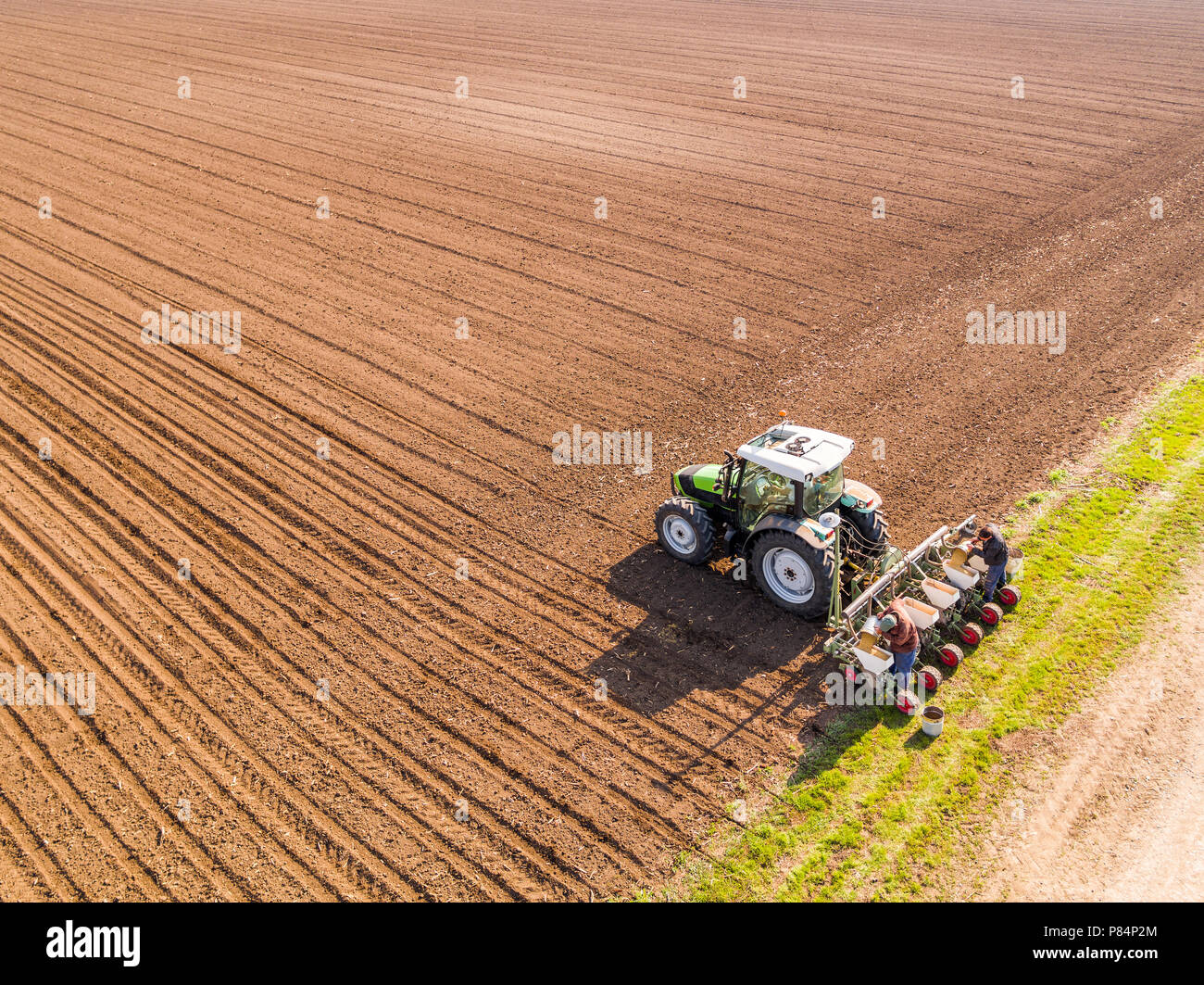 Aerial shot of a farmer seeding, sowing crops at field. Sowing is the ...