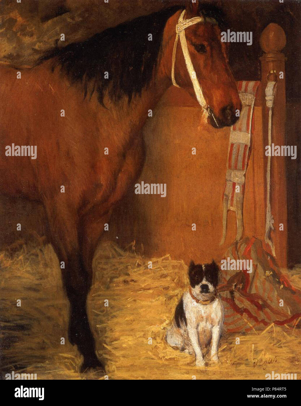 19th century horse stables hi-res stock photography and images - Alamy