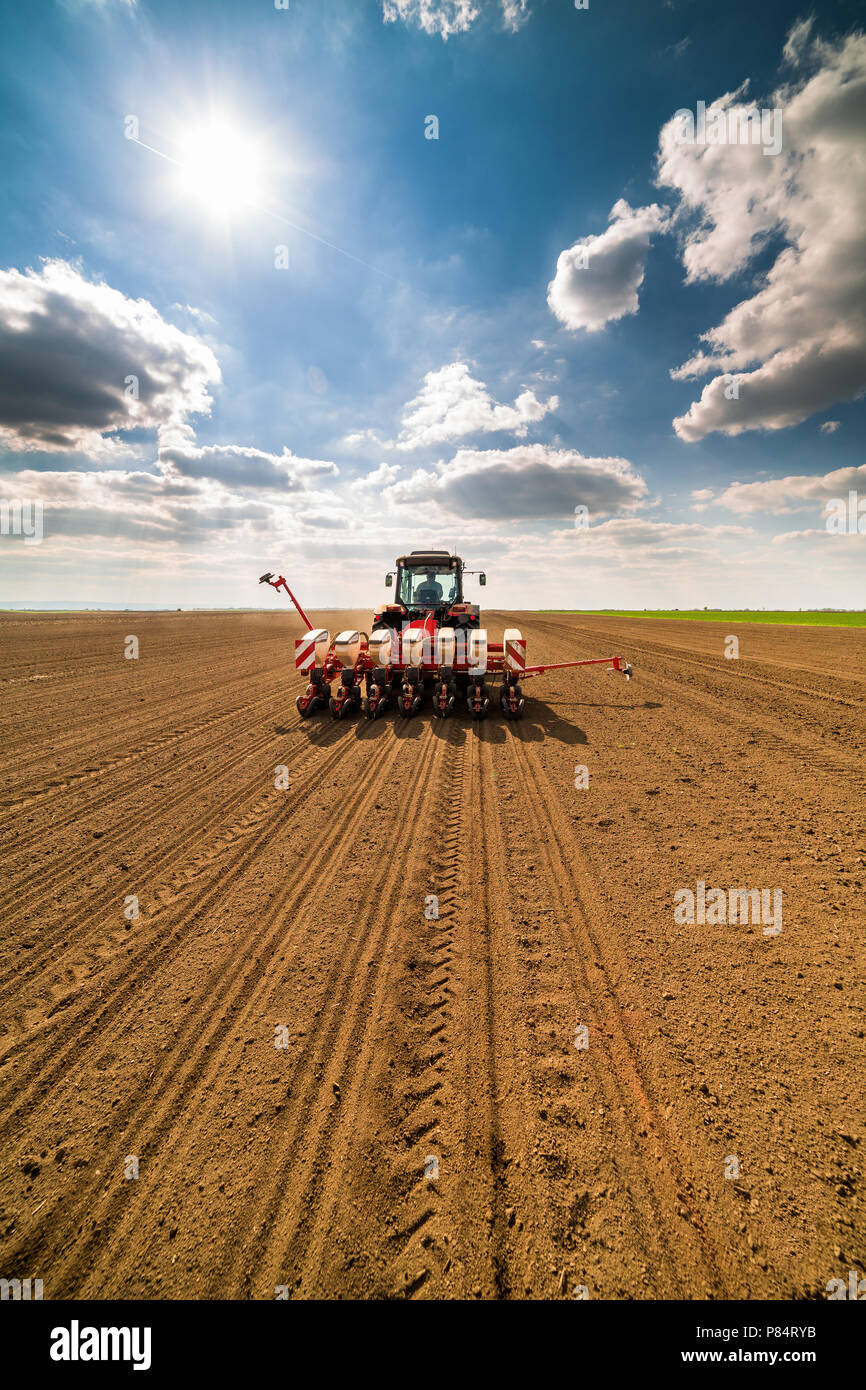 Farmer seeding, sowing crops at field. Sowing is the process of ...