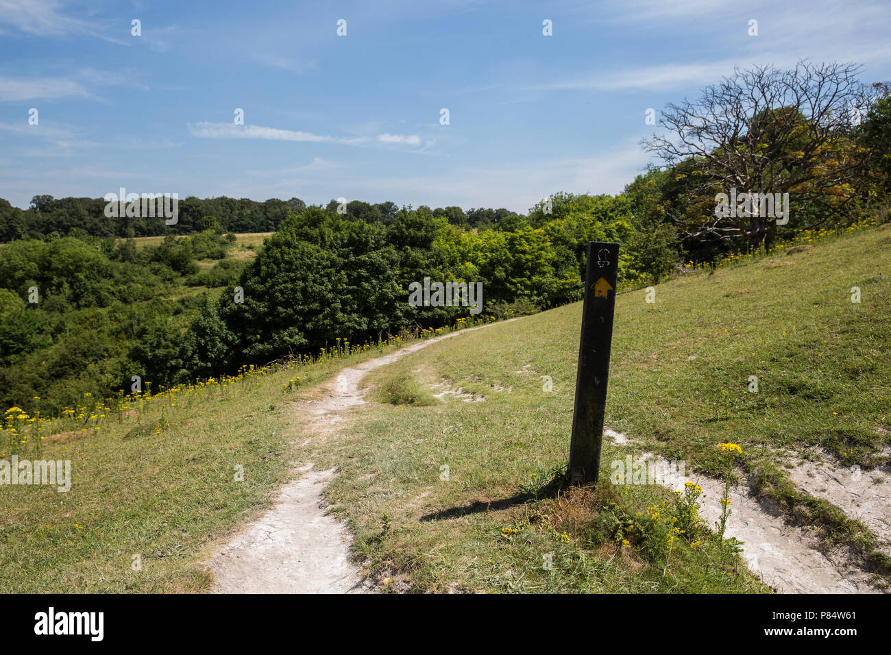Great Kimble, UK. 6th July, 2018. The Ridgeway bridleway in the ...