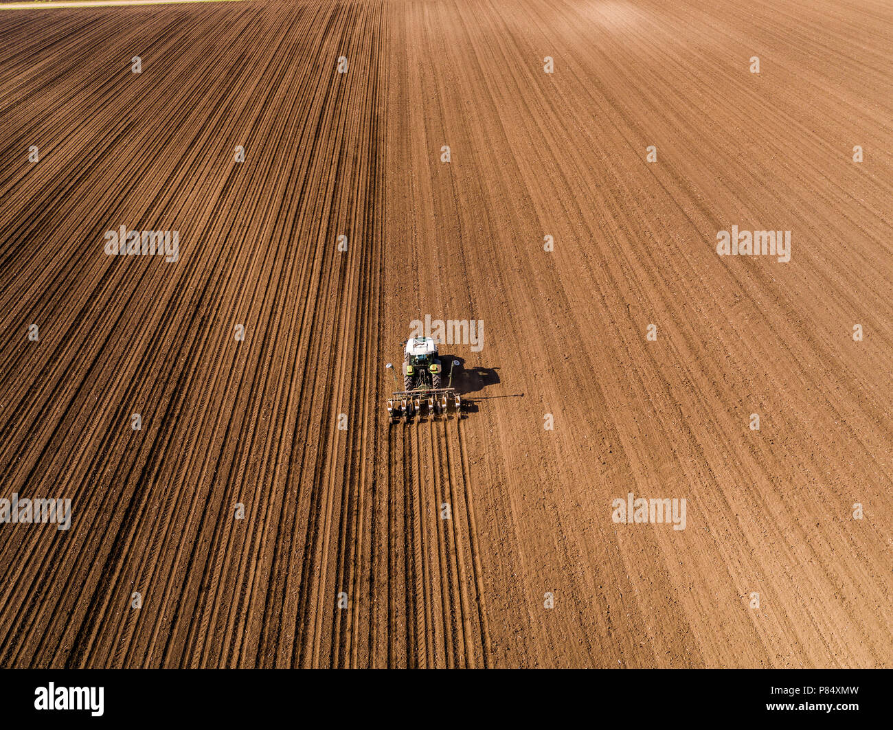 Aerial shot of a farmer seeding, sowing crops at field. Sowing is the ...