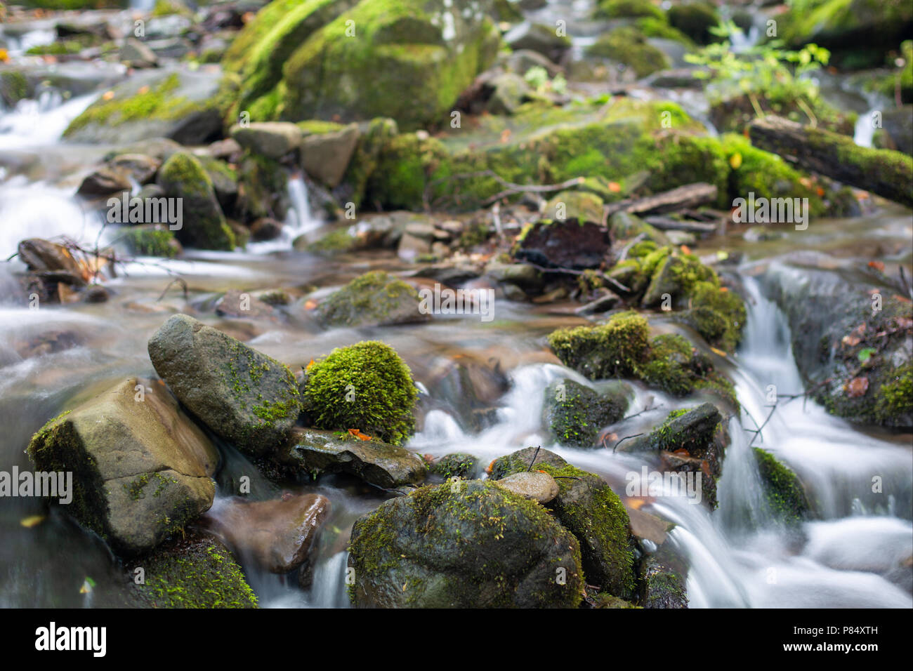 A stream in a mountain forest flows through cascades of stones Stock ...