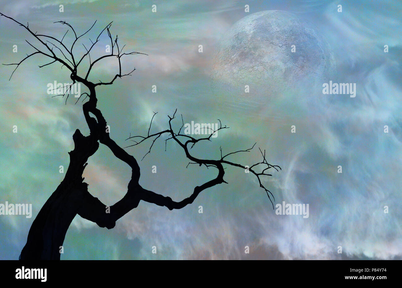 Surrealism. Tree silhouette, moon in the sky Stock Photo - Alamy
