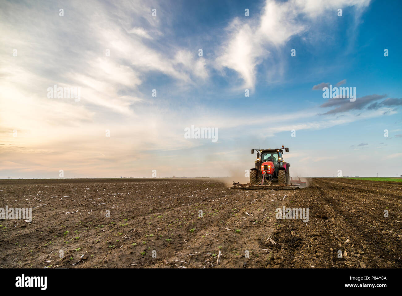 Tractor cultivating field at spring Stock Photo - Alamy