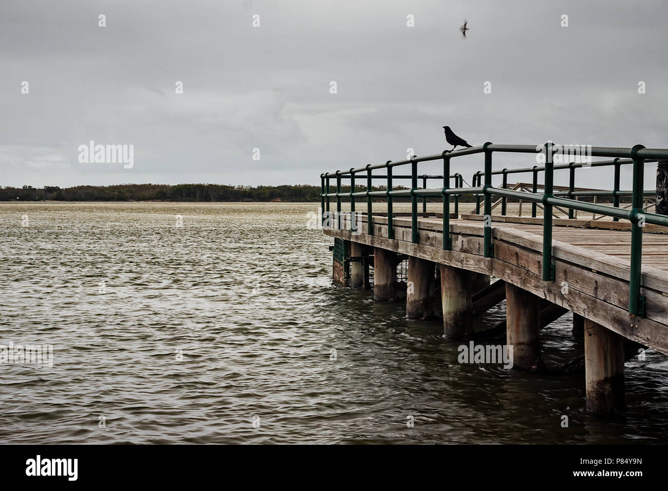 Forest sky pier australia hi-res stock photography and images - Alamy
