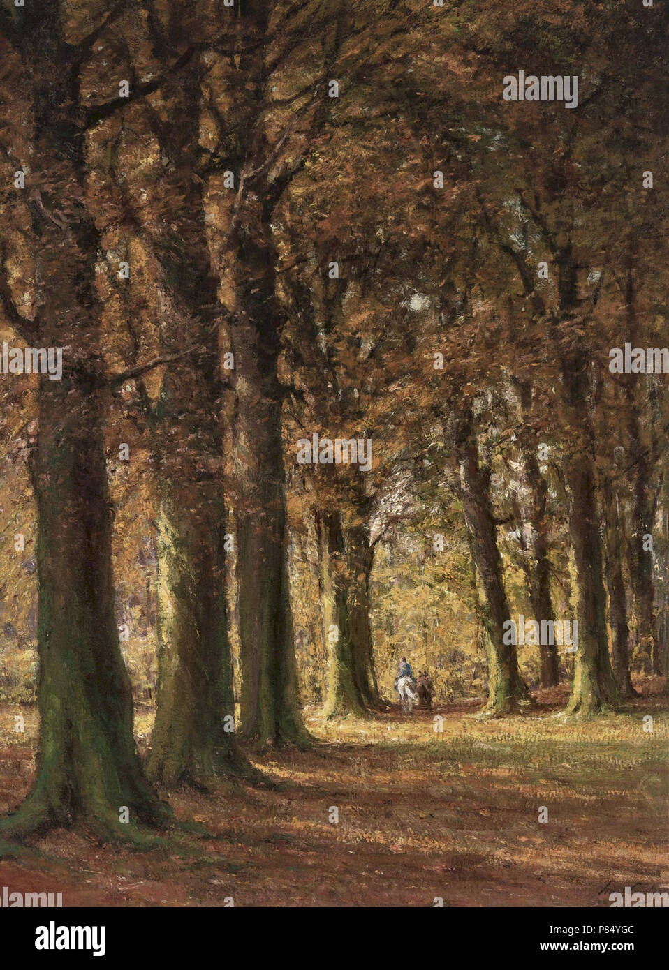 Courtens Franz - Dreef Stock Photo - Alamy