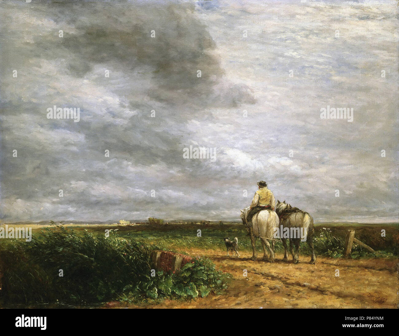 Going to the hayfield hi-res stock photography and images - Alamy