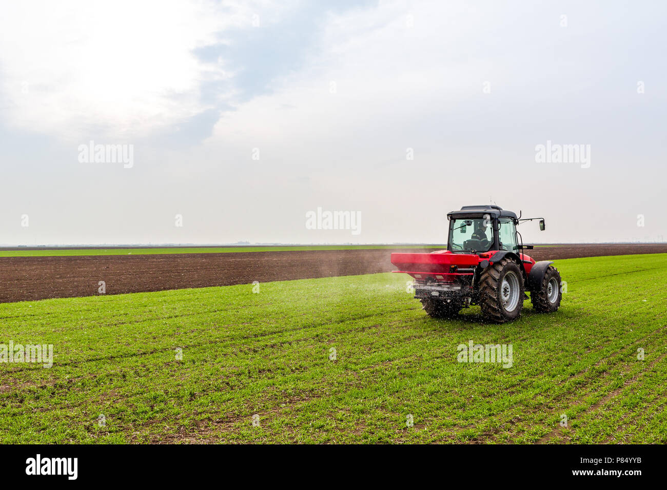 Farmer in tractor fertilizing wheat field at spring with npk Stock ...