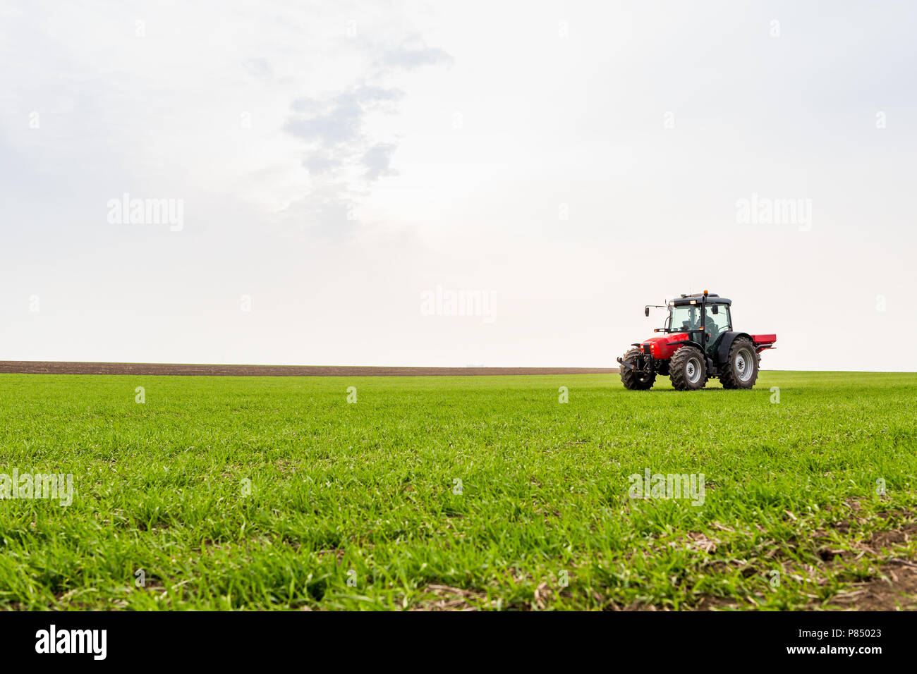 Farmer in tractor fertilizing wheat field at spring with npk Stock ...