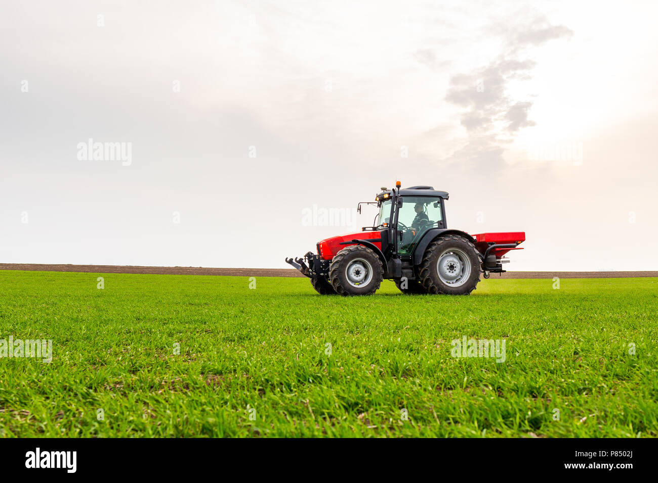 Farmer in tractor fertilizing wheat field at spring with npk Stock ...