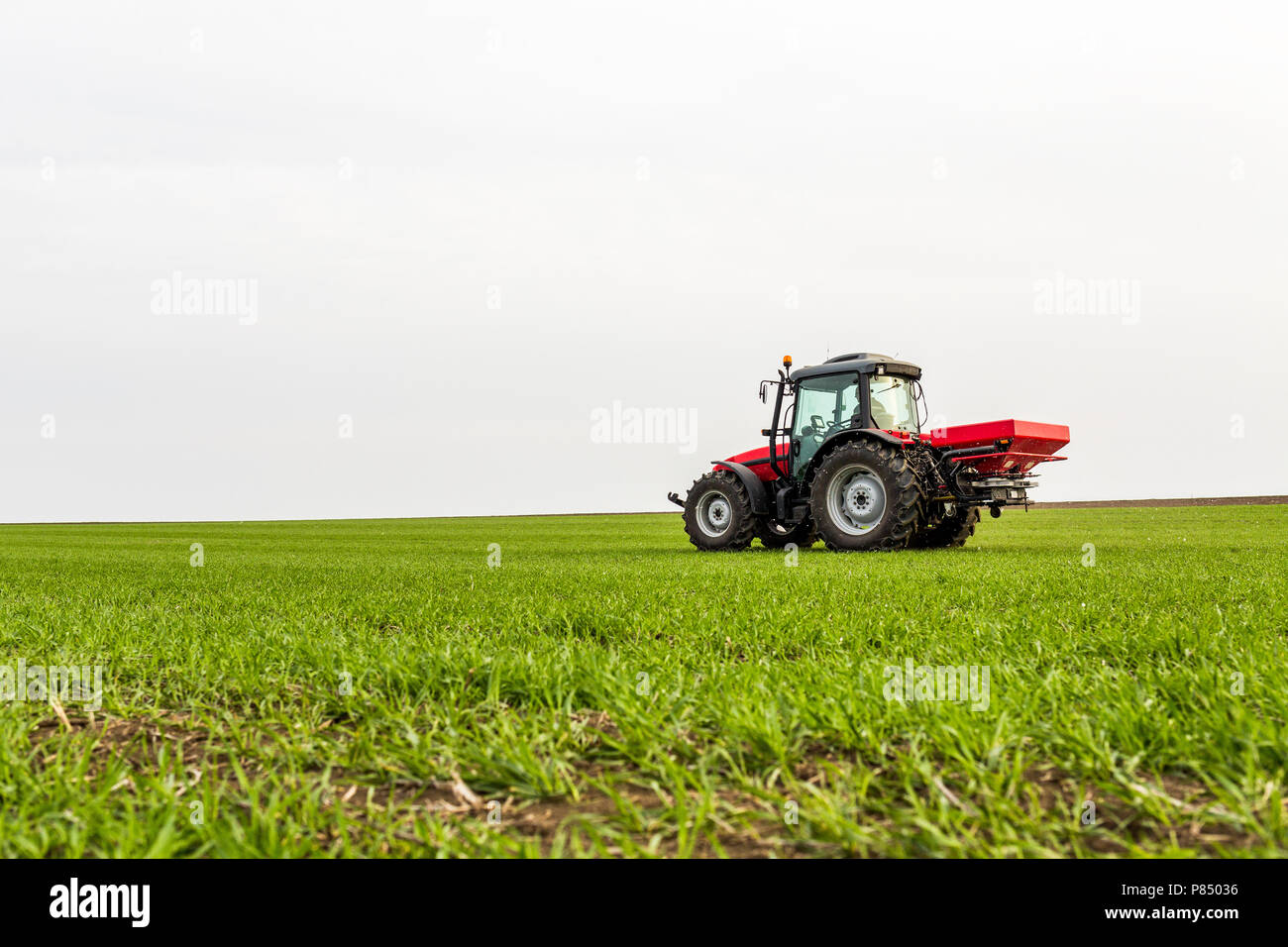 Farmer in tractor fertilizing wheat field at spring with npk Stock ...