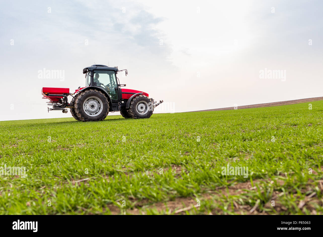 Farmer in tractor fertilizing wheat field at spring with npk Stock ...