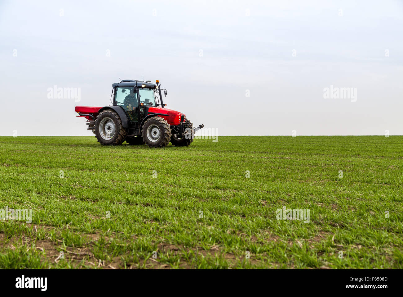 Farmer in tractor fertilizing wheat field at spring with npk Stock ...