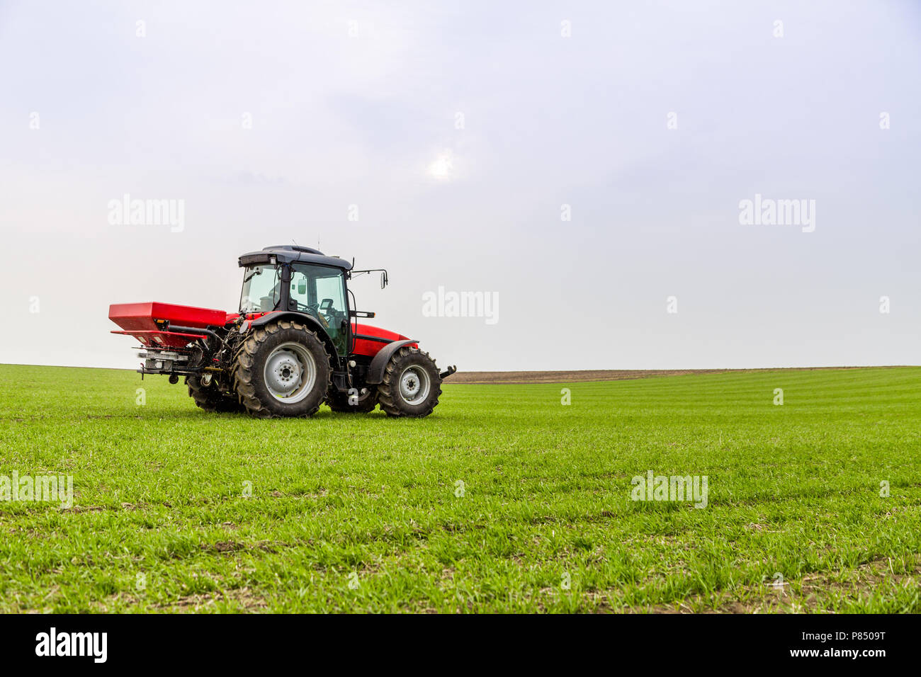Farmer in tractor fertilizing wheat field at spring with npk Stock ...