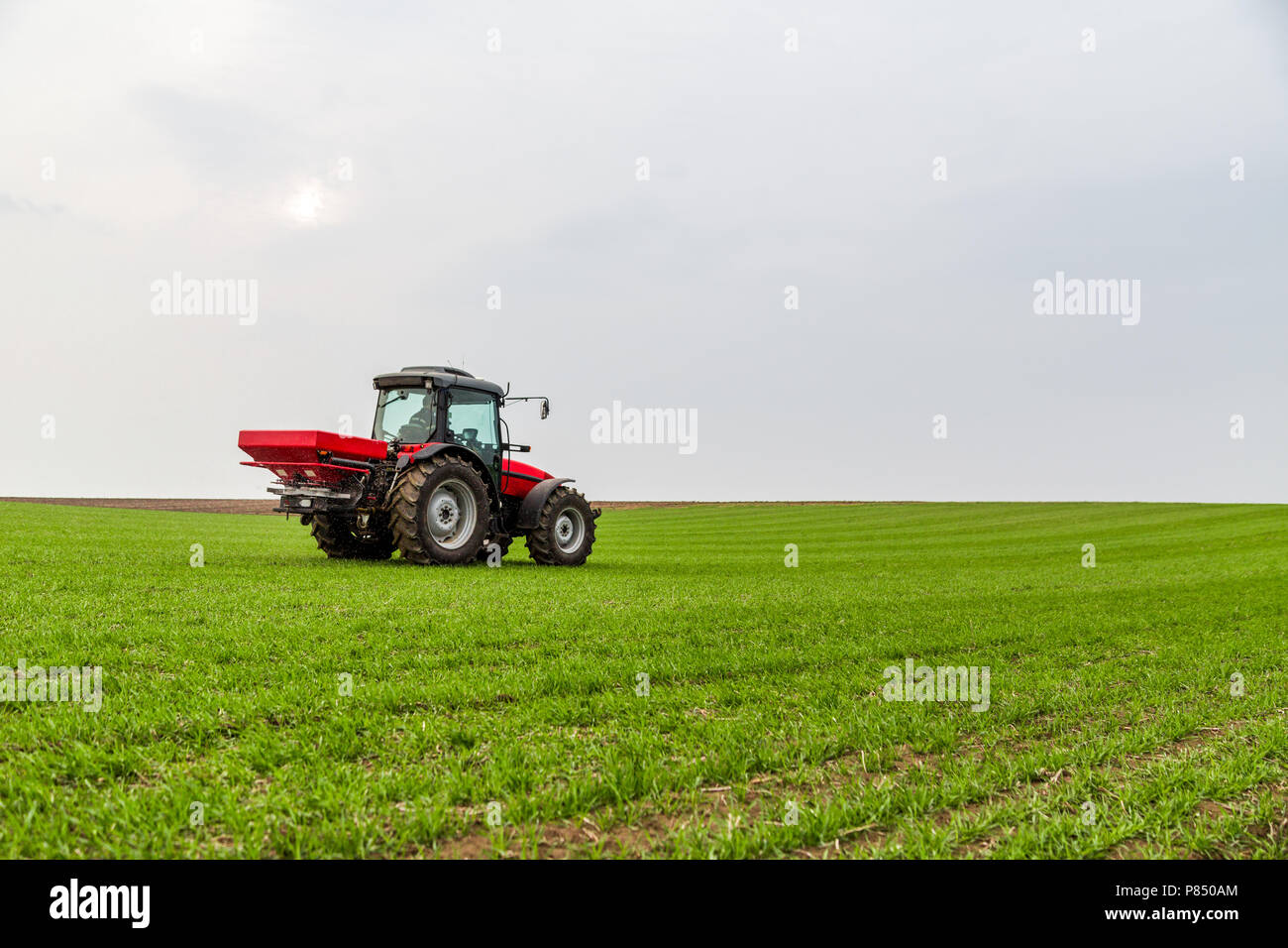 Farmer in tractor fertilizing wheat field at spring with npk Stock ...