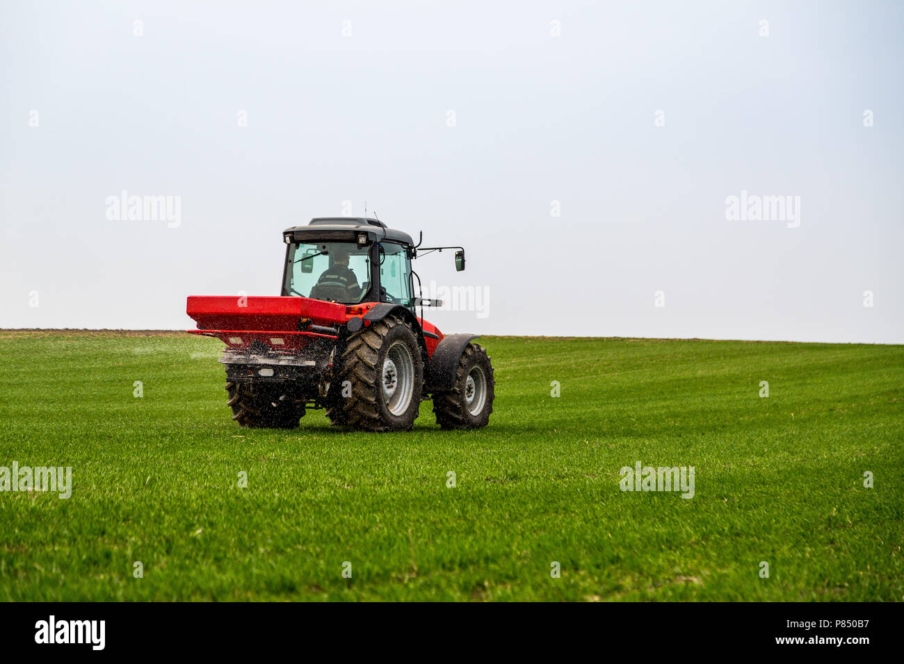 Farmer in tractor fertilizing wheat field at spring with npk Stock ...