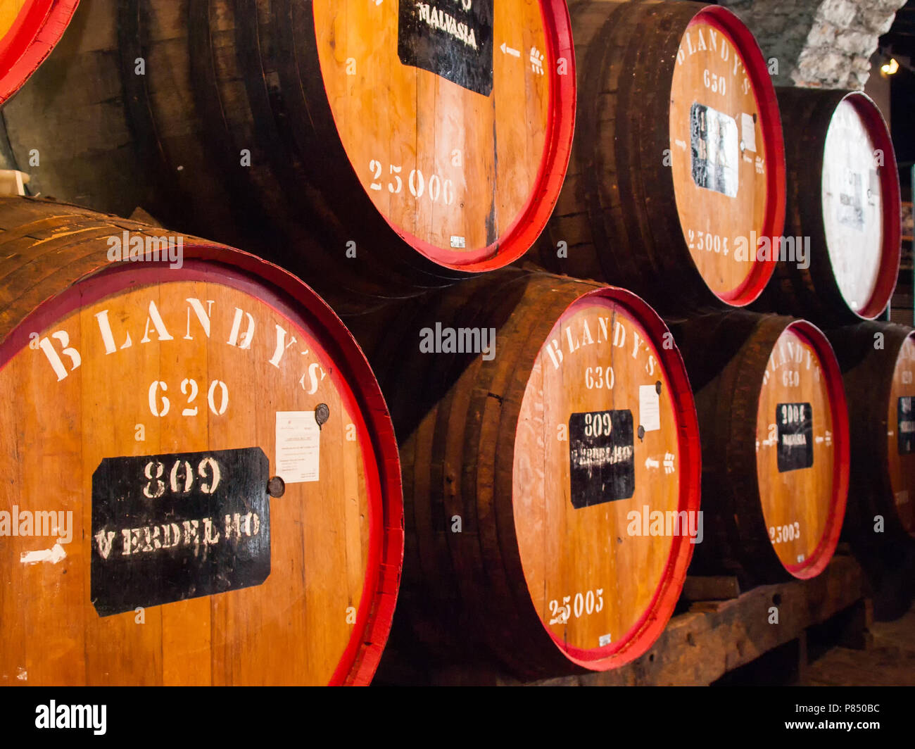 Wine barrels in an old winery Stock Photo - Alamy