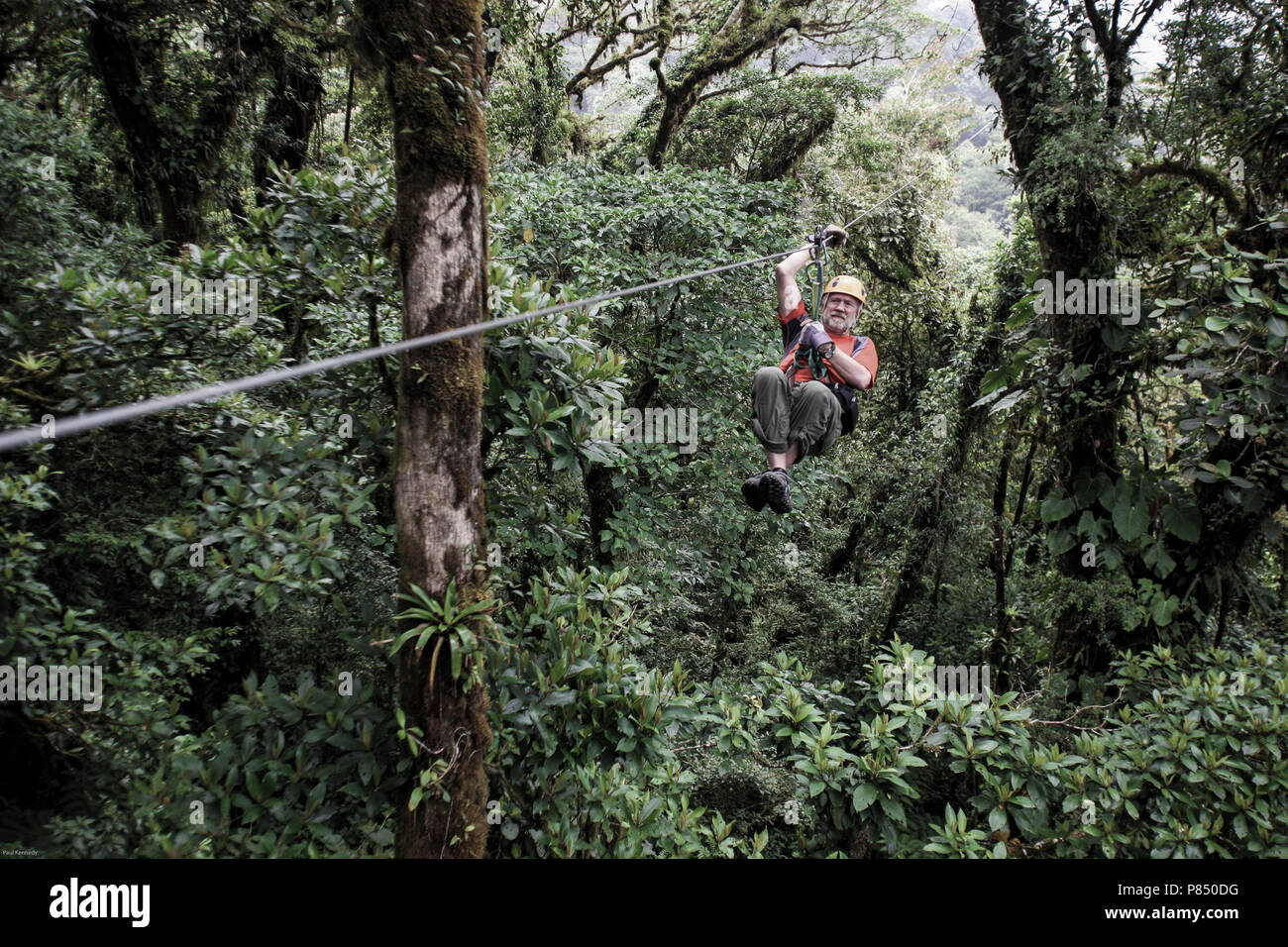 Tourist zip lining adventure through trees in Costa Rica rain forest ...
