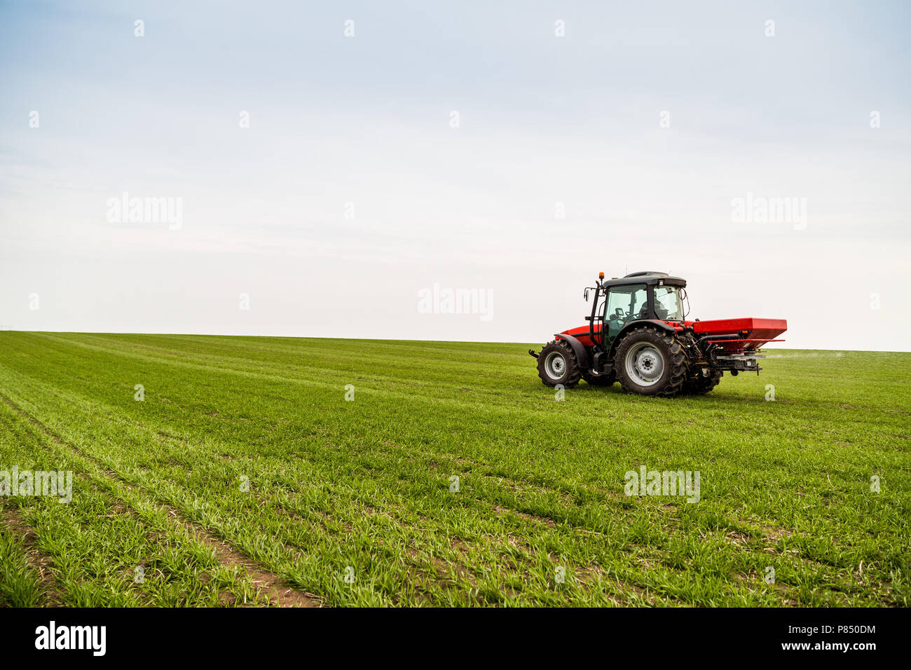 Farmer in tractor fertilizing wheat field at spring with npk Stock ...