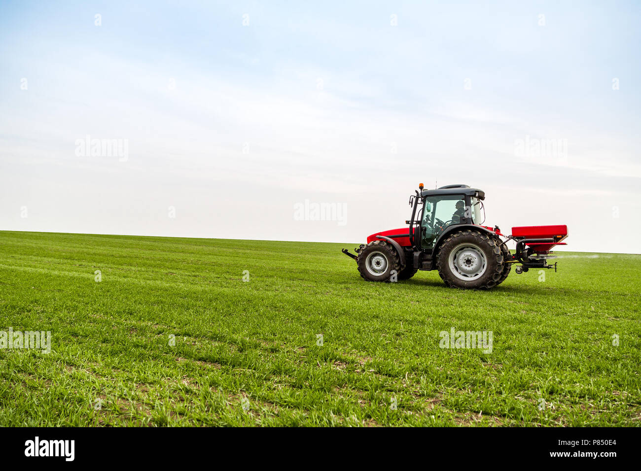 Farmer in tractor fertilizing wheat field at spring with npk Stock ...