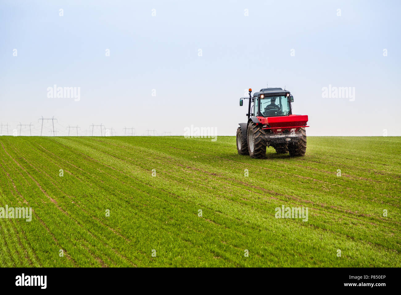 Farmer in tractor fertilizing wheat field at spring with npk Stock ...