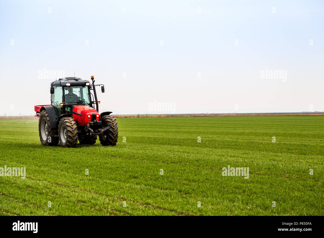 Farmer in tractor fertilizing wheat field at spring with npk Stock ...