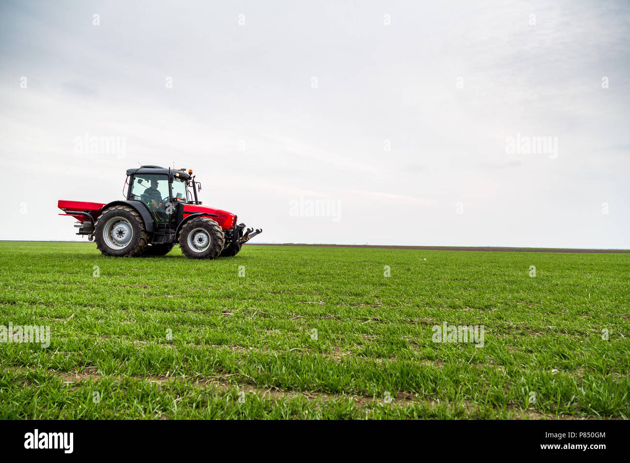 Farmer in tractor fertilizing wheat field at spring with npk Stock ...