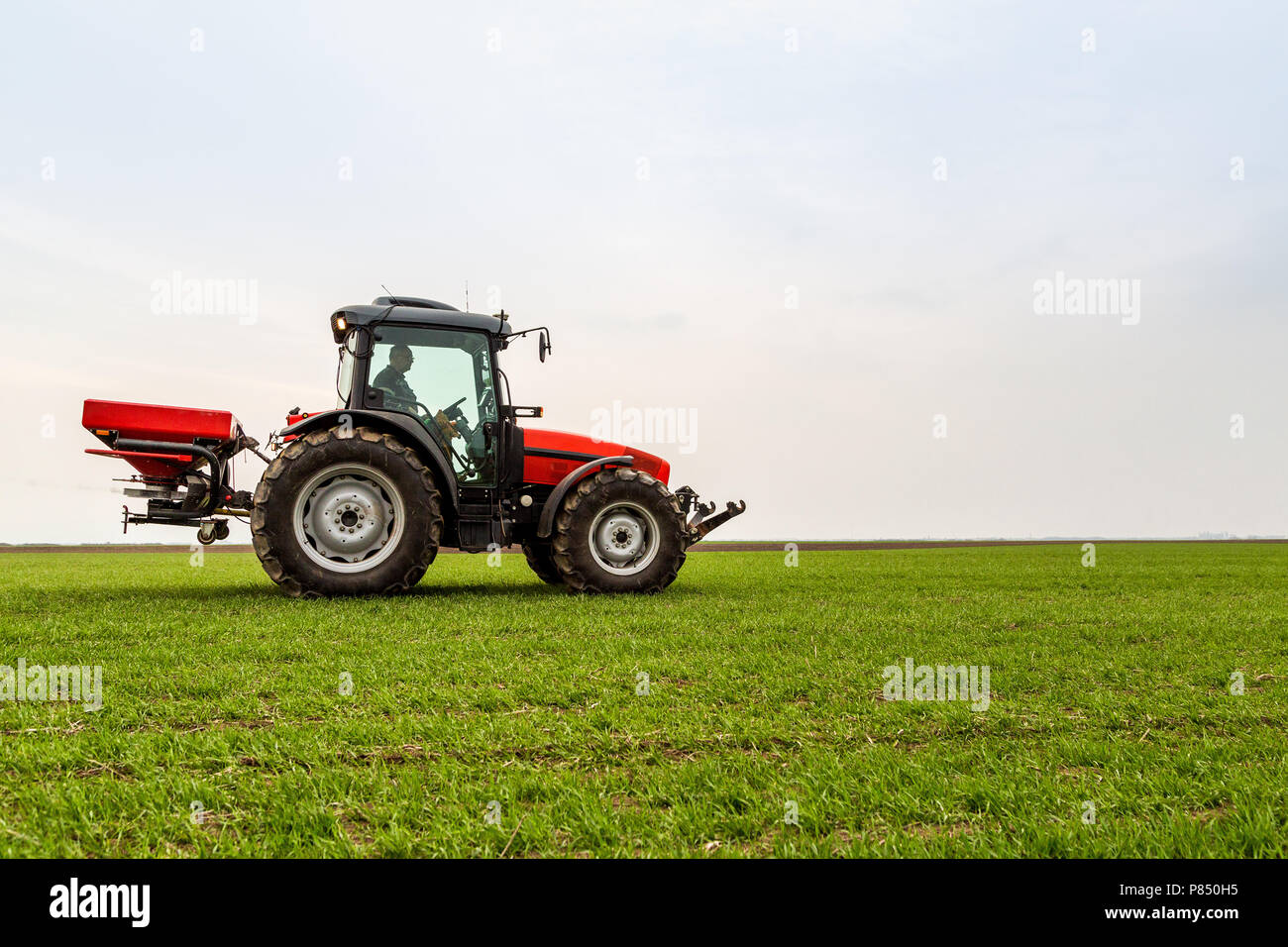 Farmer in tractor fertilizing wheat field at spring with npk Stock ...