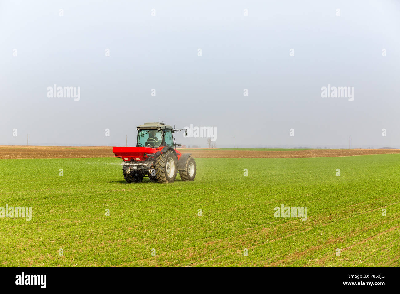 Farmer in tractor fertilizing wheat field at spring with npk Stock ...