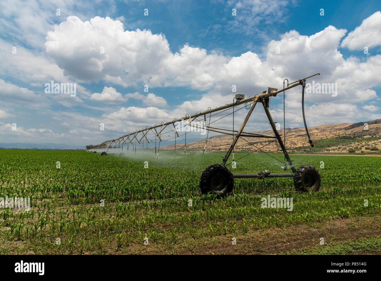 Lateral move irrigation system Stock Photo - Alamy