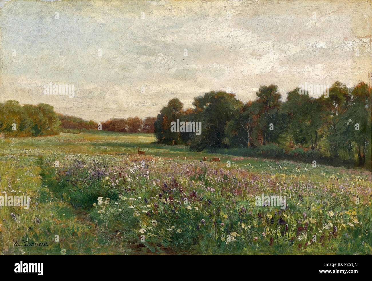 Hugo darnaut hi-res stock photography and images - Alamy