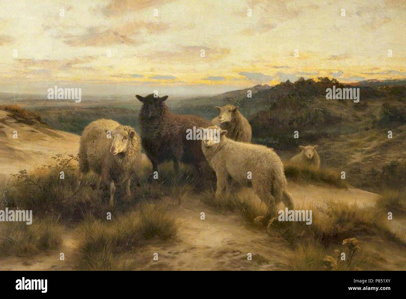 William banks davis hi-res stock photography and images - Alamy