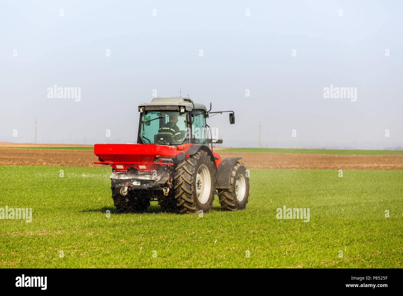 Farmer in tractor fertilizing wheat field at spring with npk Stock ...