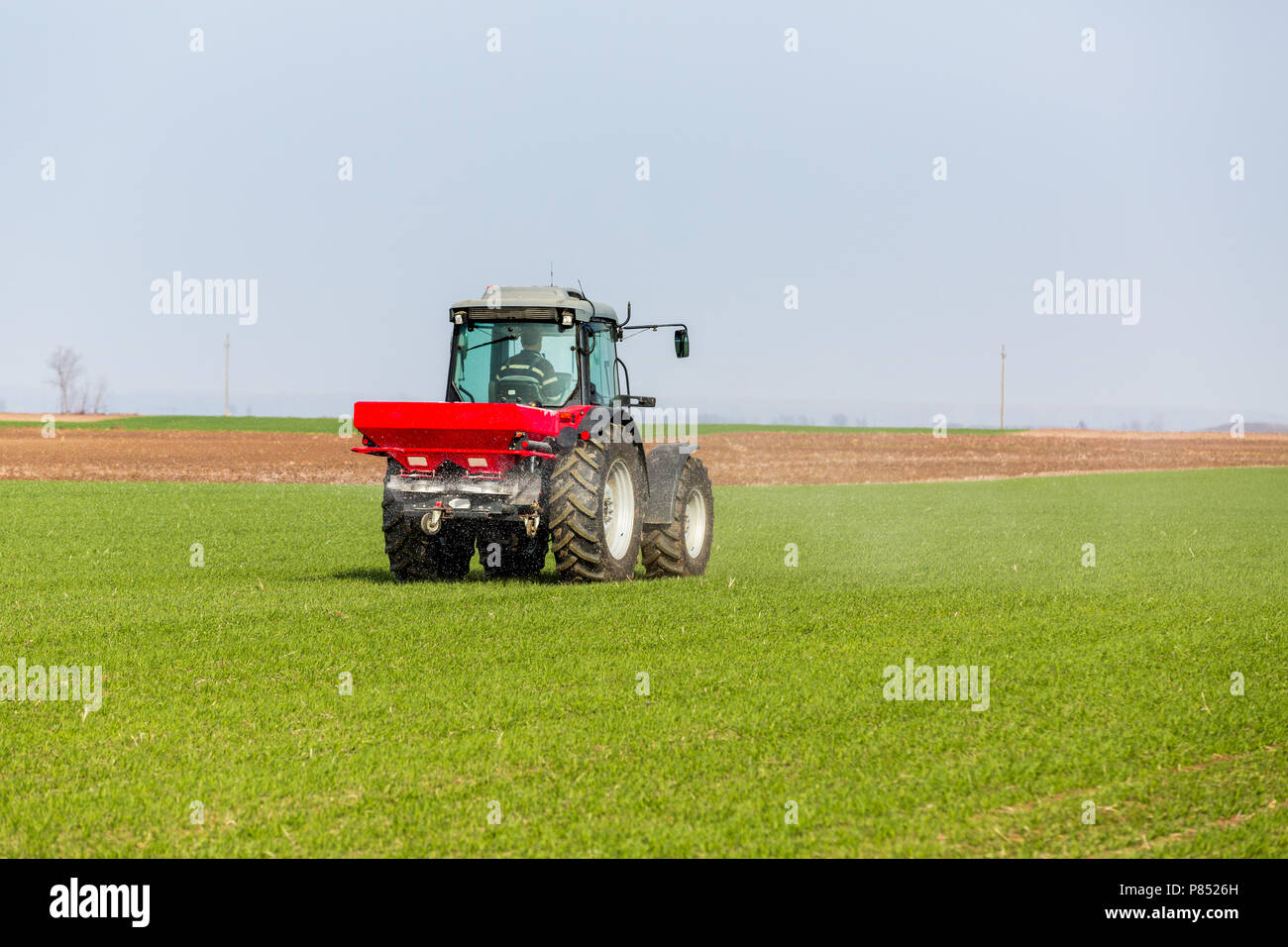 Farmer in tractor fertilizing wheat field at spring with npk Stock ...