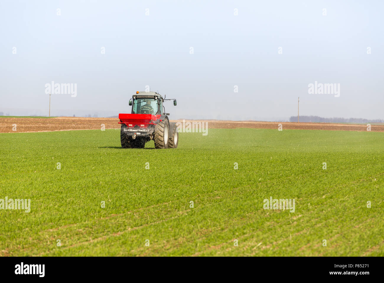 Farmer in tractor fertilizing wheat field at spring with npk Stock ...